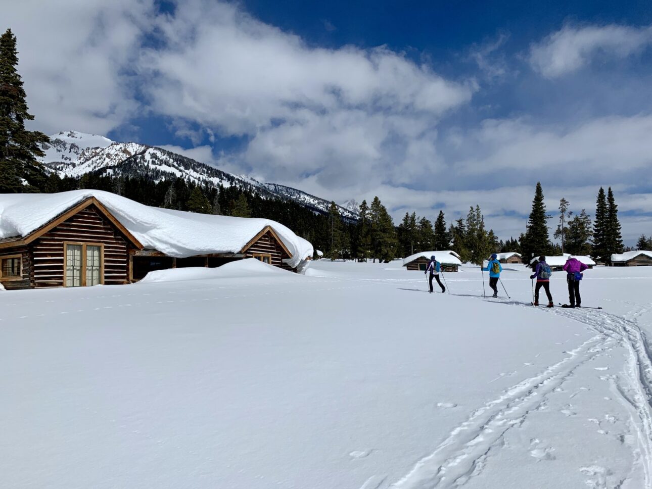 Trail: White Grass Dude Ranch Nordic Trail & Heritage Project - Jackson ...