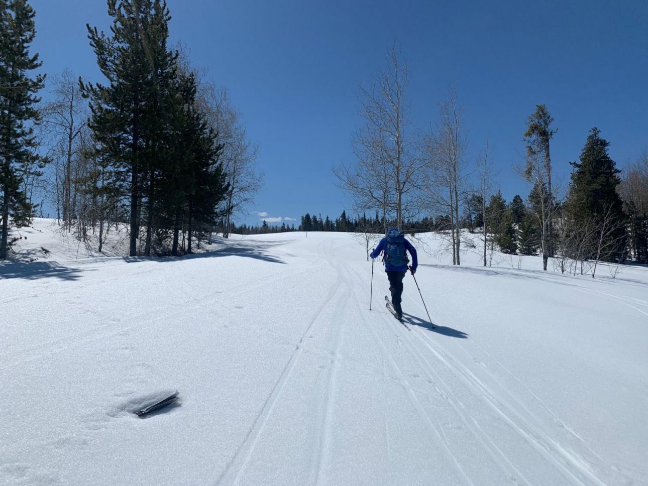 Spring Nordic Report - Jackson Hole Nordic Alliance