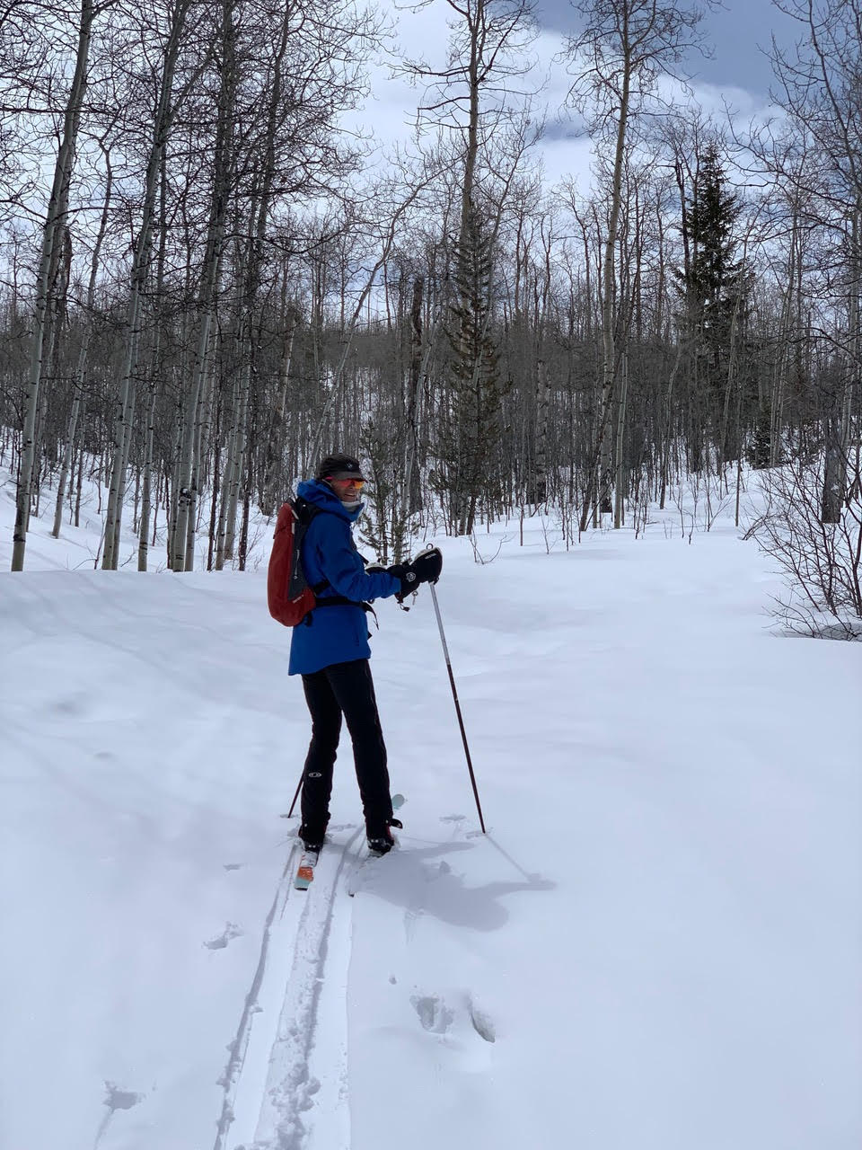 Spring Nordic Report - Jackson Hole Nordic Alliance