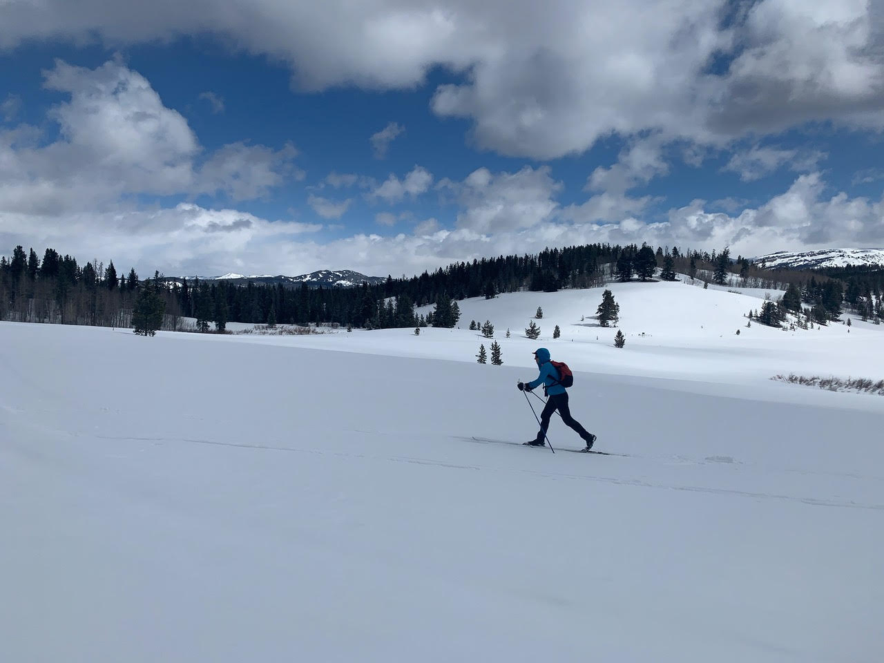 Spring Nordic Report - Jackson Hole Nordic Alliance