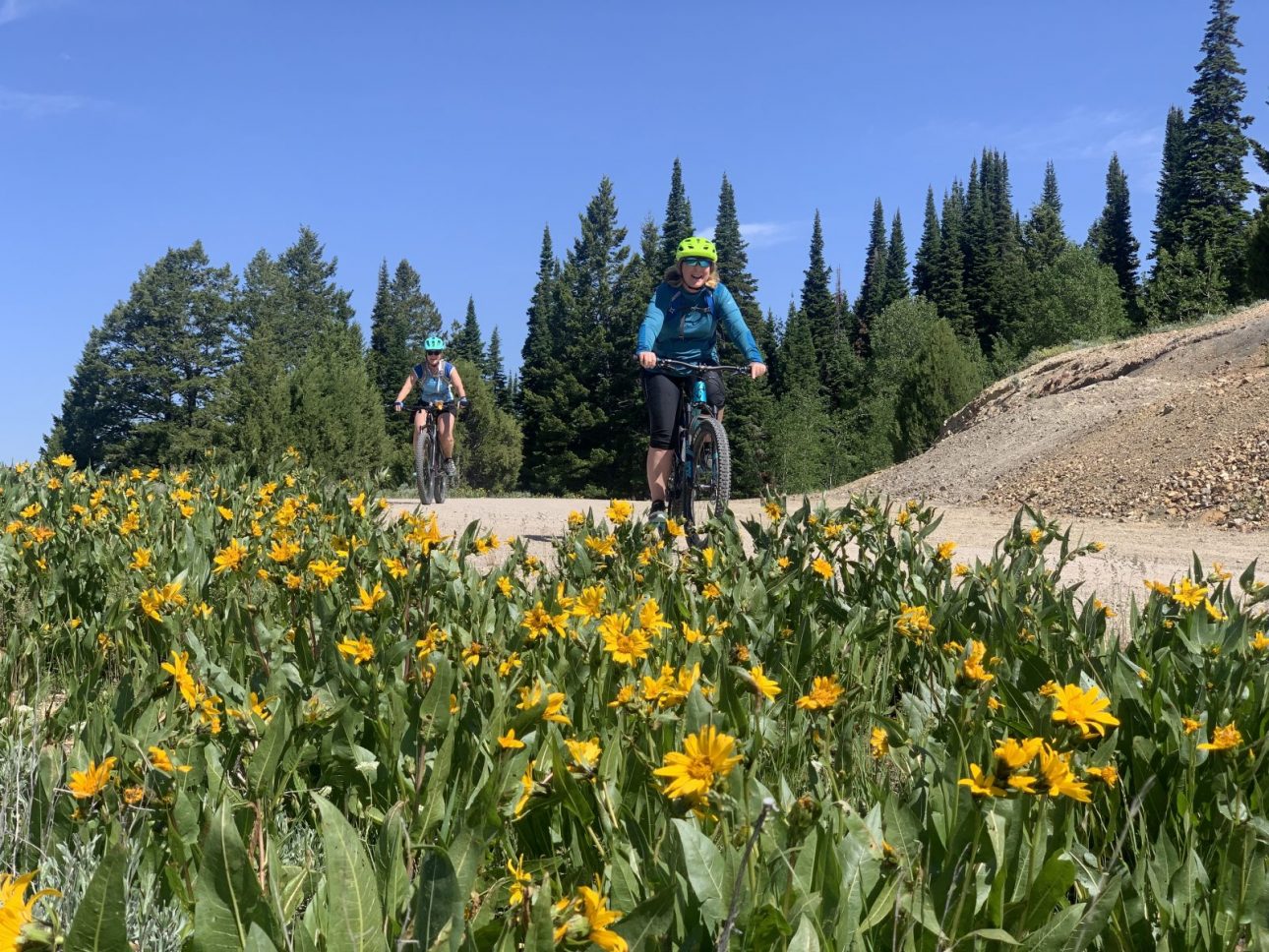 Let the Summer Fun Begin in Jackson Hole 2023 - Jackson Hole Nordic ...