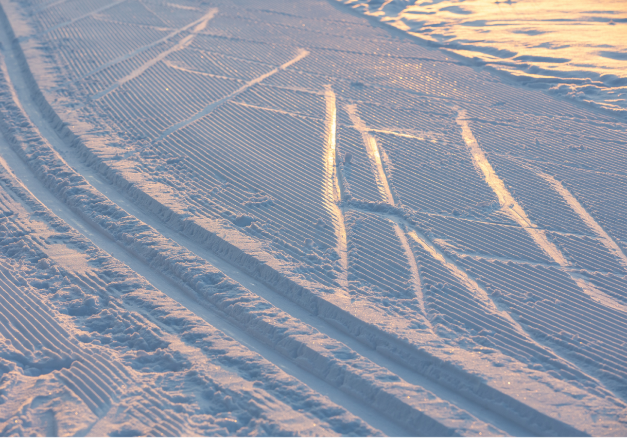 Trail of the Month: 3 Loops for a Quick Nordic Ski - Jackson Hole ...