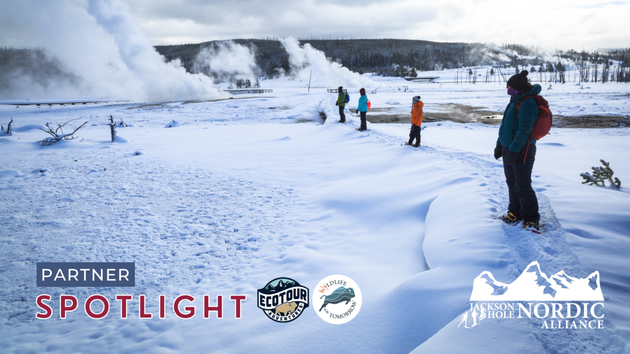 Partner Spotlight: Taylor Phillips, JH EcoTour Adventures and Wyldlife ...